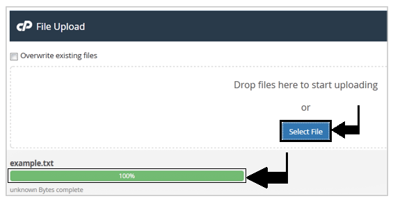 How to upload files via the cPanel File Manager? - Layer WebHost